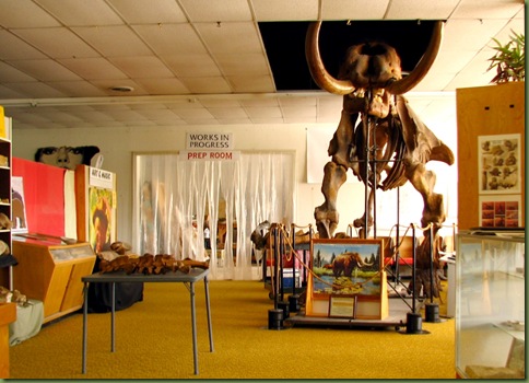 Rolling in an RV - Wheelchair Traveling......: Mt Blanco Fossil Museum